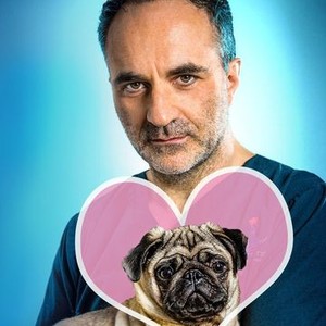 The Supervet: Noel Fitzpatrick - Rotten Tomatoes