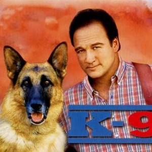 K-911 - Rotten Tomatoes