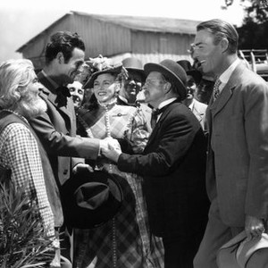 Harry Harvey - Rotten Tomatoes