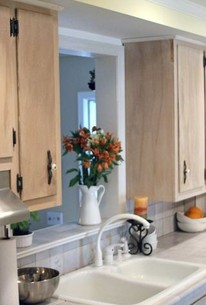 Rescue My Renovation: Season 2, Episode 4 | Rotten Tomatoes