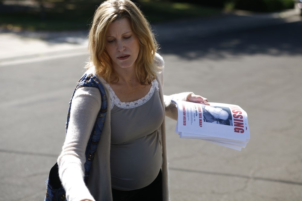 Anna Gunn Pregnant