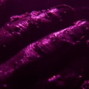 Entropy - Rotten Tomatoes