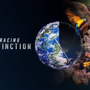 Racing Extinction - Rotten Tomatoes