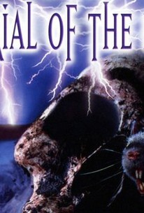 Burial of the Rats (1995) - Rotten Tomatoes