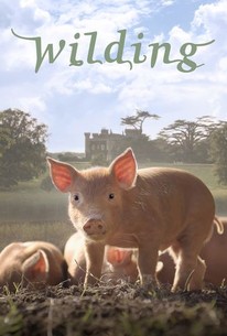 Wilding (2023) | Rotten Tomatoes
