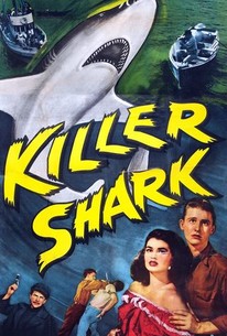 Killer Shark | Rotten Tomatoes