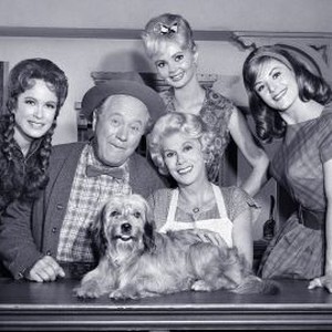 Petticoat Junction: Season 4, Episode 7 - Rotten Tomatoes