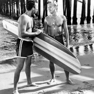 Surf Party - Rotten Tomatoes