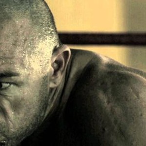 The Lackey - Rotten Tomatoes