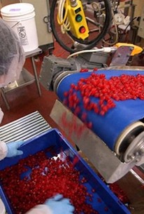 Food Factory: Season 2, Episode 16 - Rotten Tomatoes