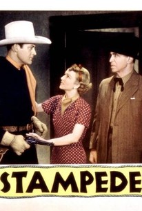 Stampede | Rotten Tomatoes