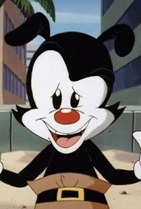Animaniacs: Season 4, Episode 4 | Rotten Tomatoes