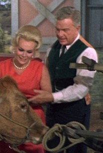 Green Acres: Season 1, Episode 12 | Rotten Tomatoes