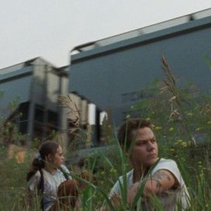 The Maiden - Rotten Tomatoes