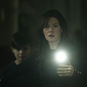 The Cellar - Rotten Tomatoes