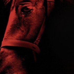 Equus - Rotten Tomatoes