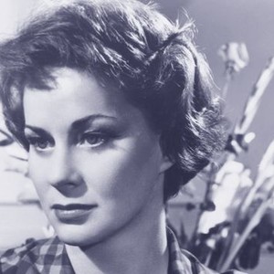 The Stranger's Hand - Rotten Tomatoes