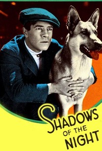 Shadows of the Night | Rotten Tomatoes