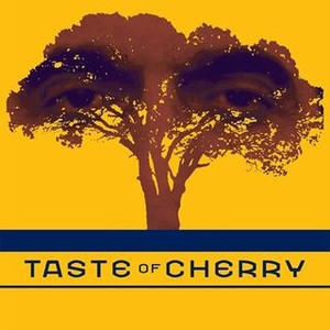 Taste of Cherry - Rotten Tomatoes