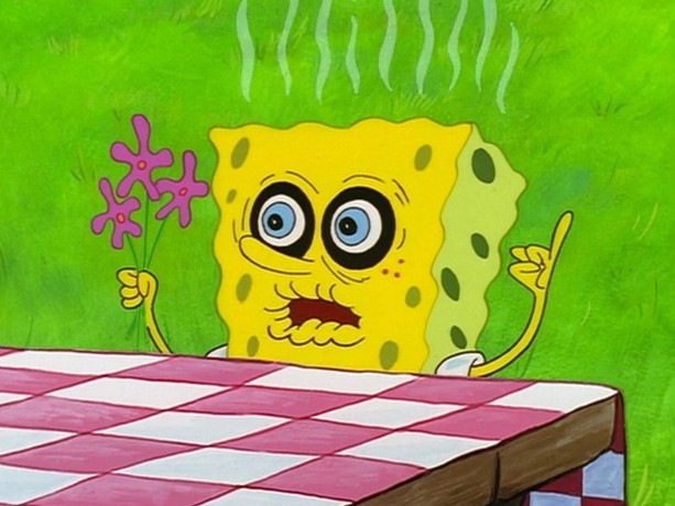 Dry spongebob store