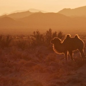 Evolution Earth - Rotten Tomatoes