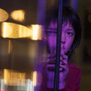 Okja - Rotten Tomatoes