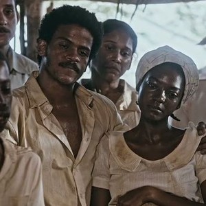 Parsley - Rotten Tomatoes