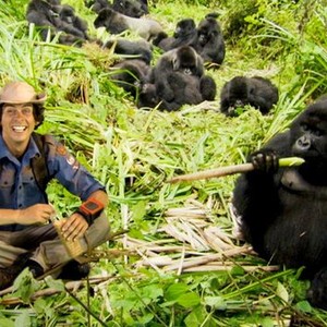 Andy's Wild Adventures: Season 1, Episode 6 - Rotten Tomatoes