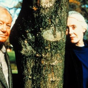 Julia Blake - Rotten Tomatoes