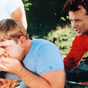 Keith Knight Meatballs