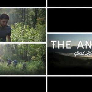 The Answer - Rotten Tomatoes