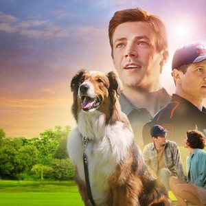 Rescued by Ruby - Rotten Tomatoes