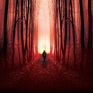 Evolution of Evil - Rotten Tomatoes