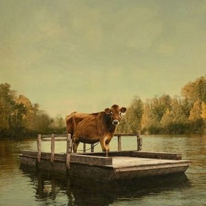 First Cow - Rotten Tomatoes