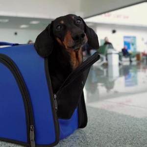 Customer Wars: Season 2, Episode 1 - Rotten Tomatoes