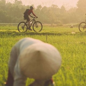 Blood Road - Rotten Tomatoes