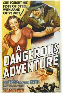 A Dangerous Adventure | Rotten Tomatoes
