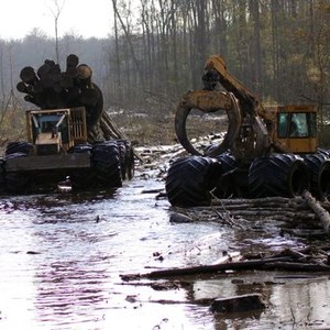 Swamp Loggers - Rotten Tomatoes