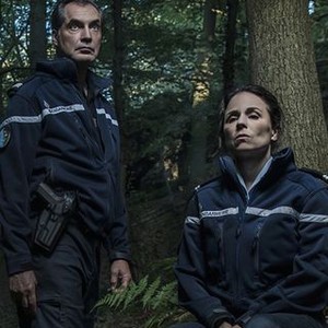 The Forest - Rotten Tomatoes