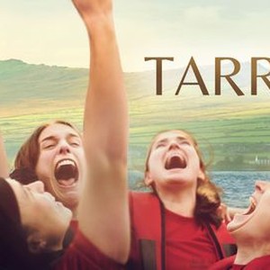 Tarrac! - Rotten Tomatoes