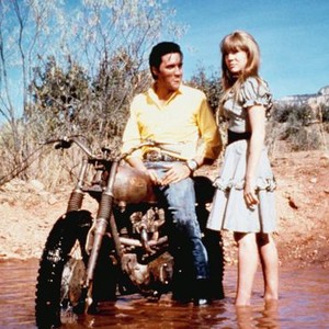 Quentin Dean - Rotten Tomatoes