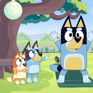 Bluey: Season 3, Episode 39 - Rotten Tomatoes