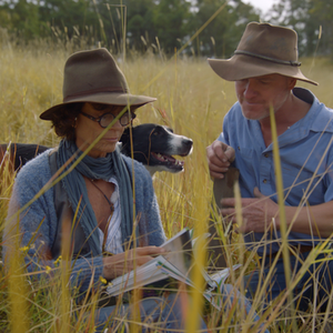 Rachel's Farm - Rotten Tomatoes