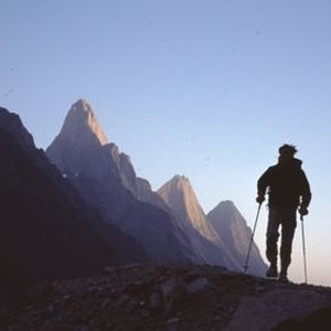 Torn - Rotten Tomatoes