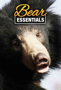 Bear Essentials | Rotten Tomatoes
