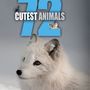 72 Cutest Animals - Rotten Tomatoes