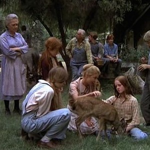 The Waltons - Season 2 Episode 9 - Rotten Tomatoes