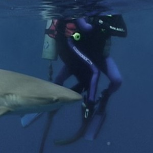 Open Water - Rotten Tomatoes