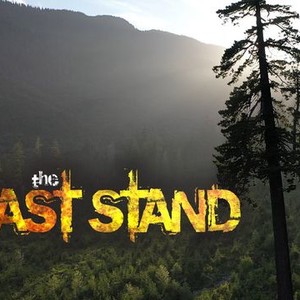 The Last Stand - Rotten Tomatoes