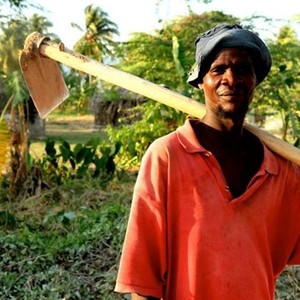 Poverty, Inc. - Rotten Tomatoes